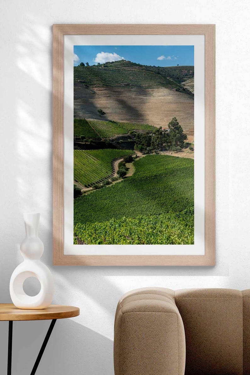 Douro Valley Vineyard Photograph | Stunning Landscape Art, Wine Country ...