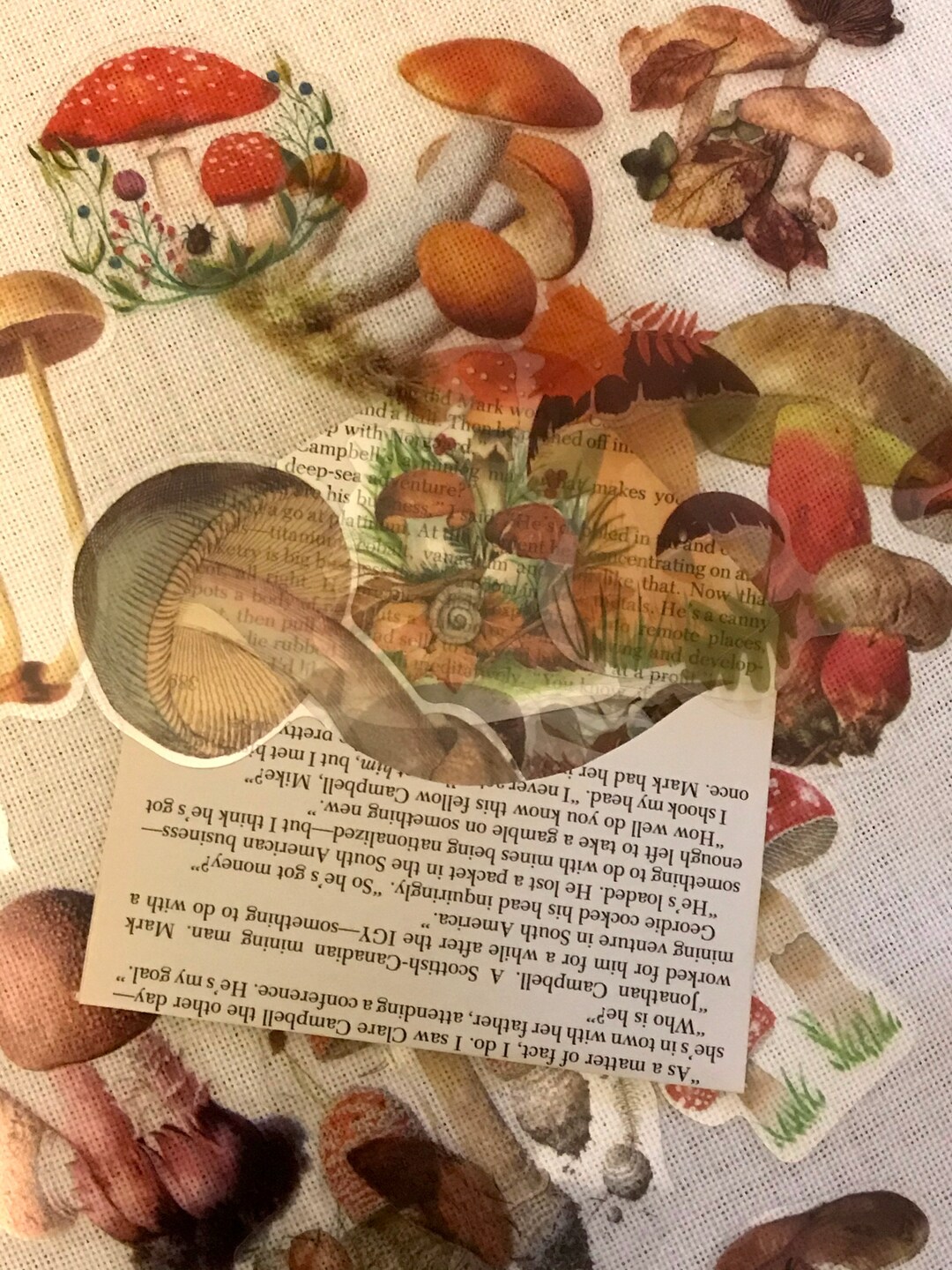 Acetate Fungi Stickers 20 Vintage Style Nature Themed Mushrooms ...