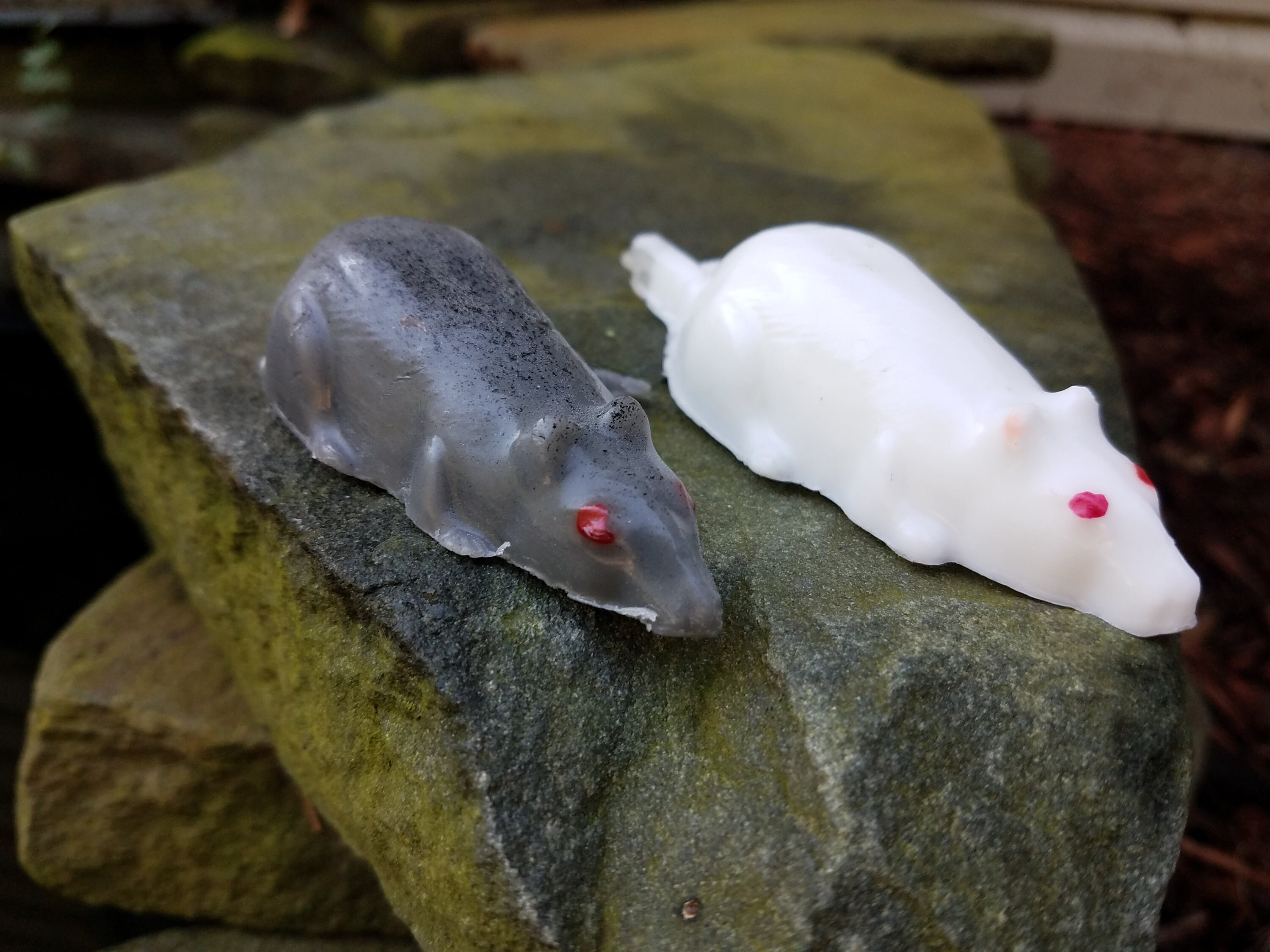 Rat Soap Rat Vegan Horror Soap Halloween Decor | Etsy