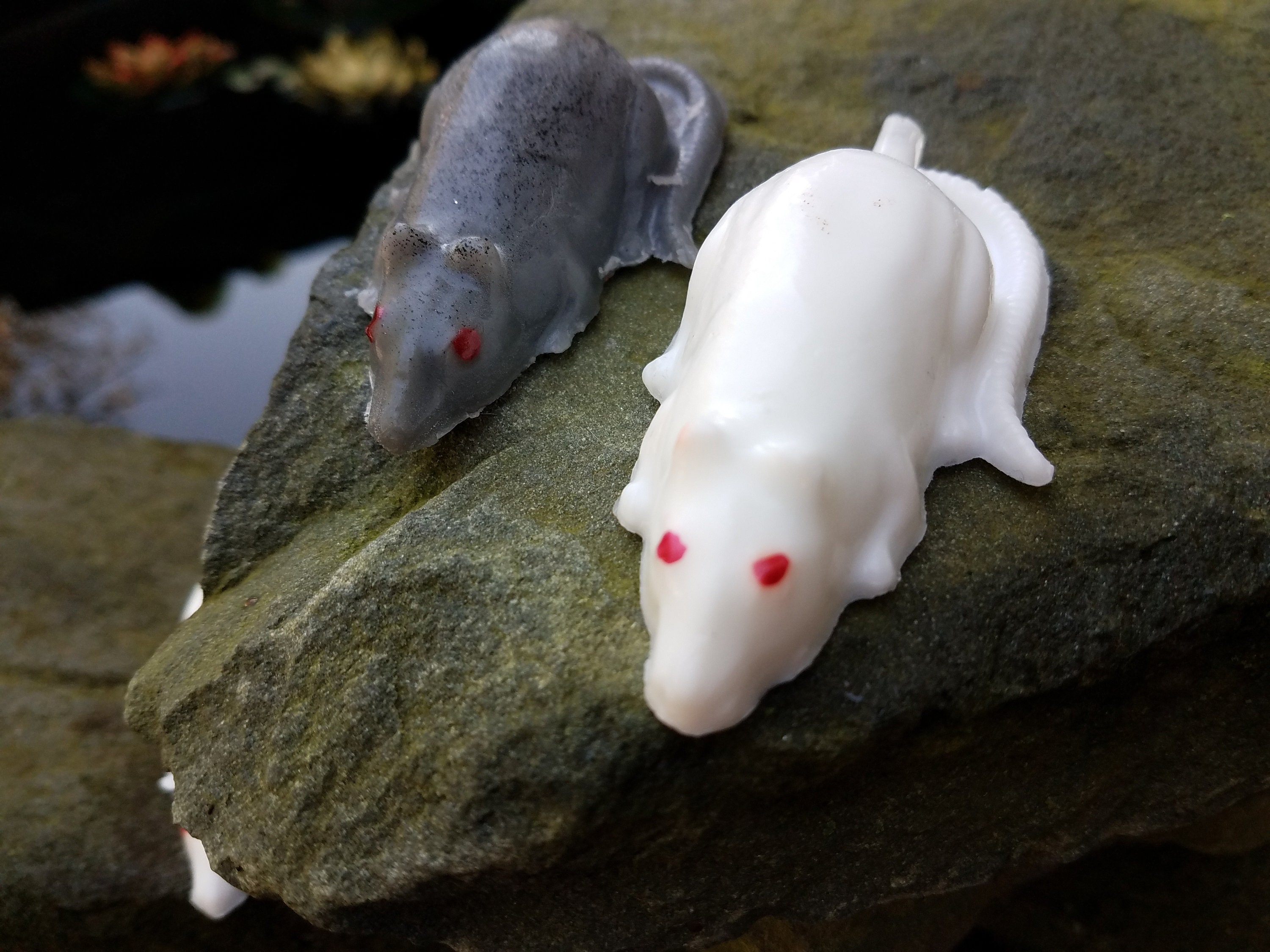 Rat Soap Rat Vegan Horror Soap Halloween Decor | Etsy