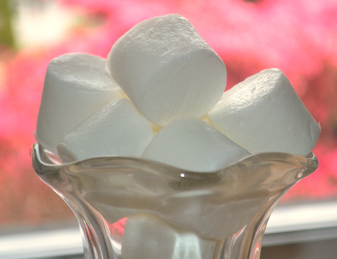 Marshmallow Soap - Candy Soap - Fake Food - Food Prop - Gift for Him ...