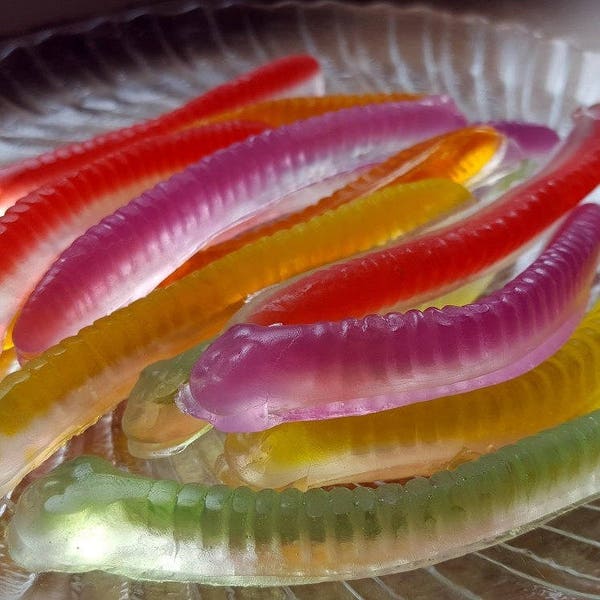 Fake Worms - Etsy
