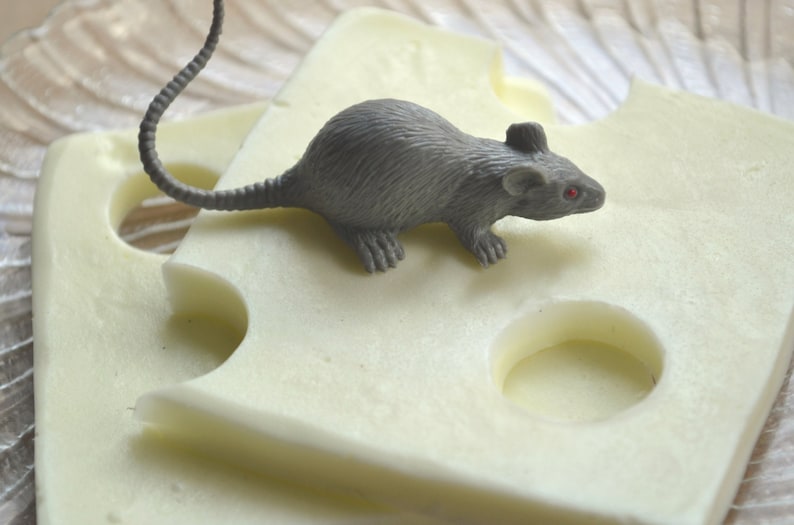 The Rat Takes the Cheese Fun Halloween Soap Kids Soap - Etsy
