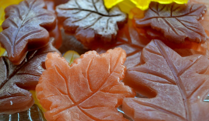 Autumn Leaf Soap - Fall - Mothers Day - Grandma - Party Favor - Fall ...