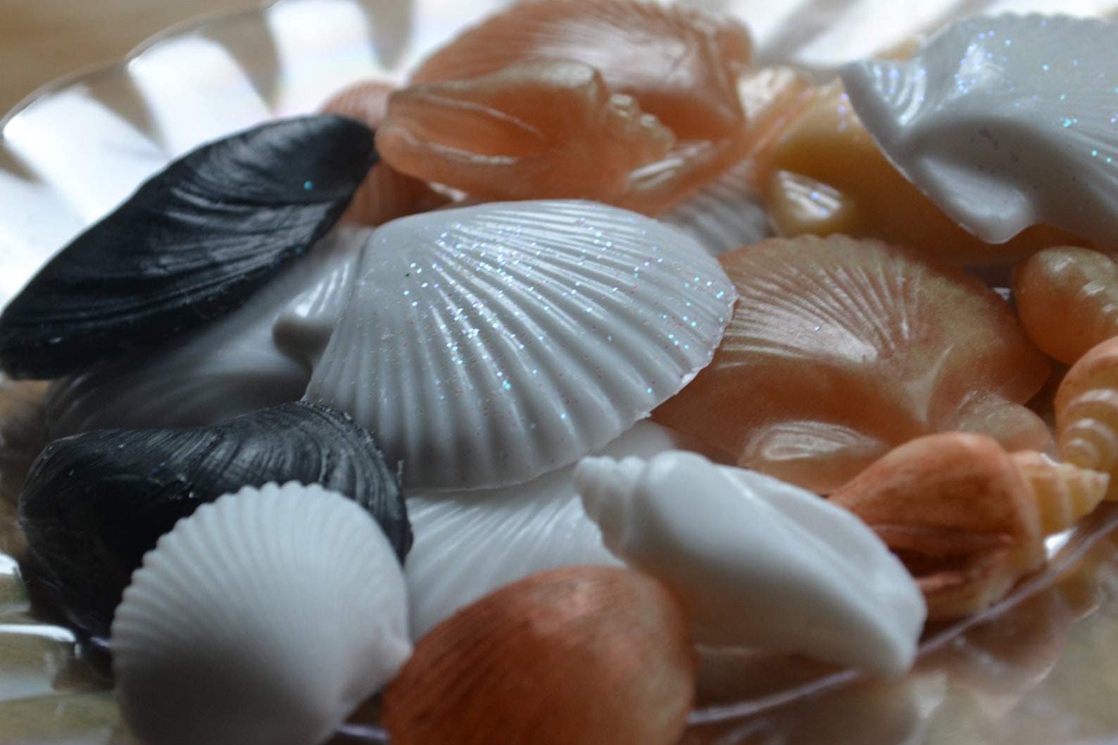 Seashell Soap A Day at the Beach Glycerin Soap Shells - Etsy