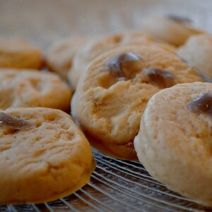 Carol's Applesauce Cookies - Walking Dead - Bite Sized Cookie Soap ...