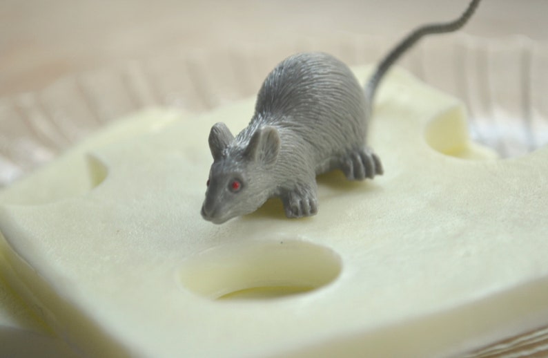 The Rat Takes the Cheese Fun Halloween Soap Kids Soap - Etsy
