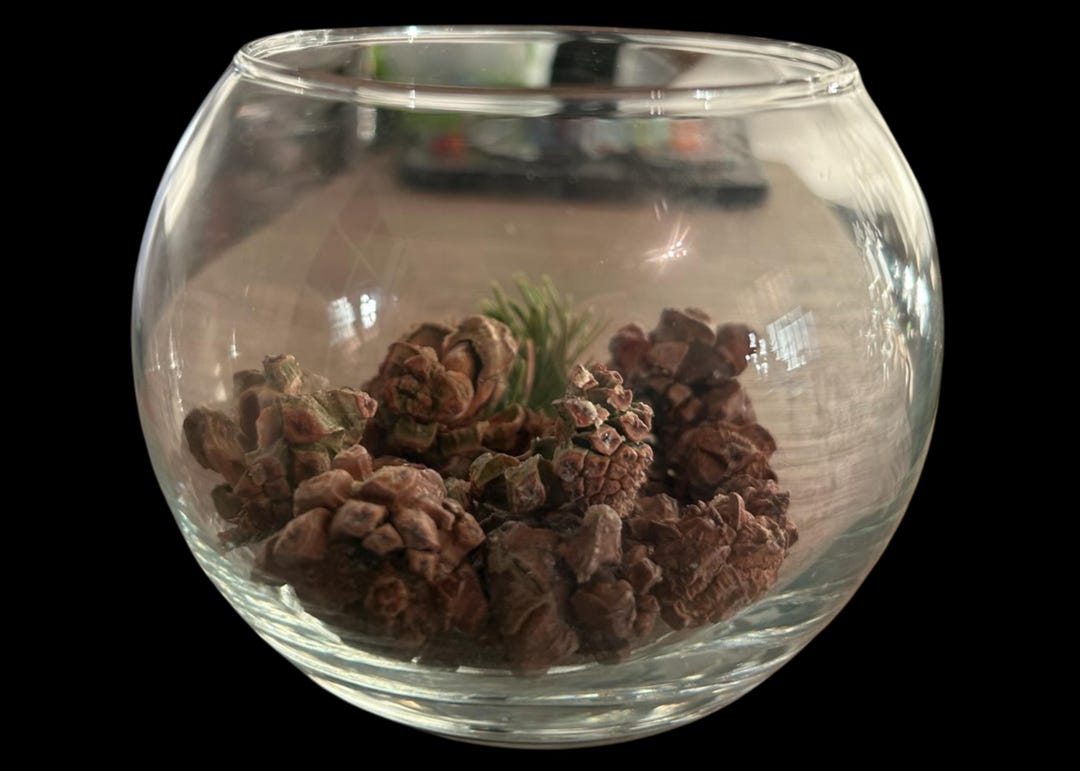 Rustic Glass Bowl With Fresh Piñon Pine Sprig and Miniature Pinecones ...