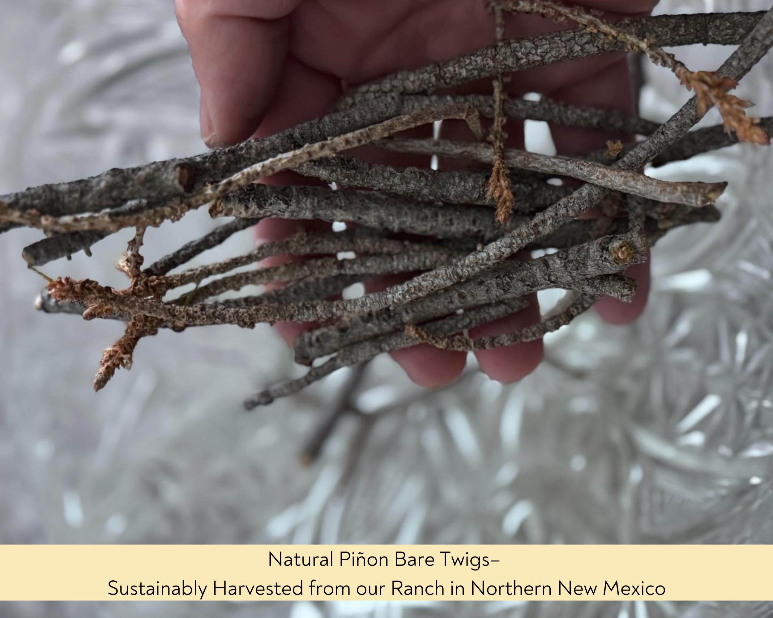Natural Piñon Bare Twigs for Crafting | Sustainably Harvested From ...