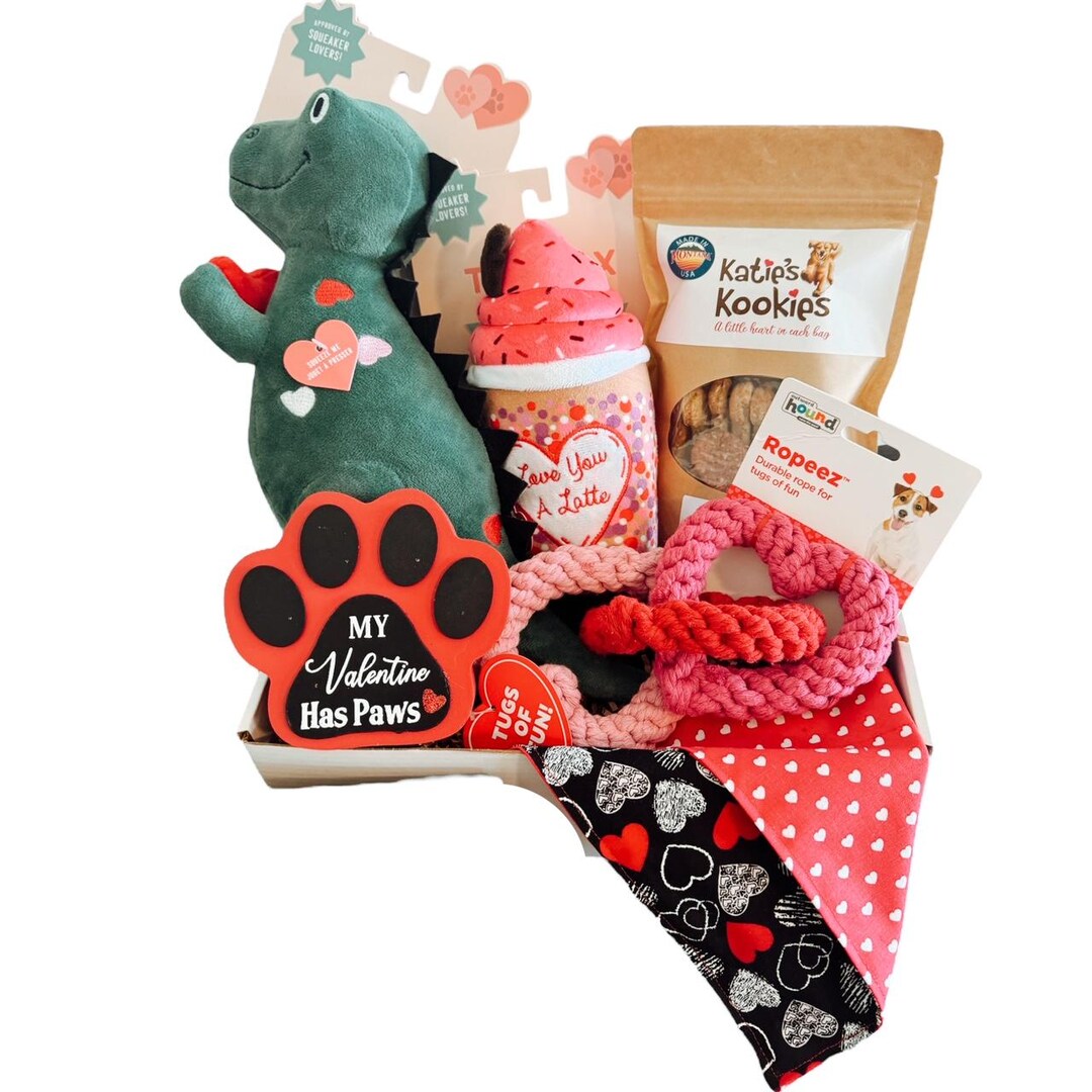 Valentines Day, Valentines Gift Box, Gift Box for Dogs, Puppy, Dog Gift ...