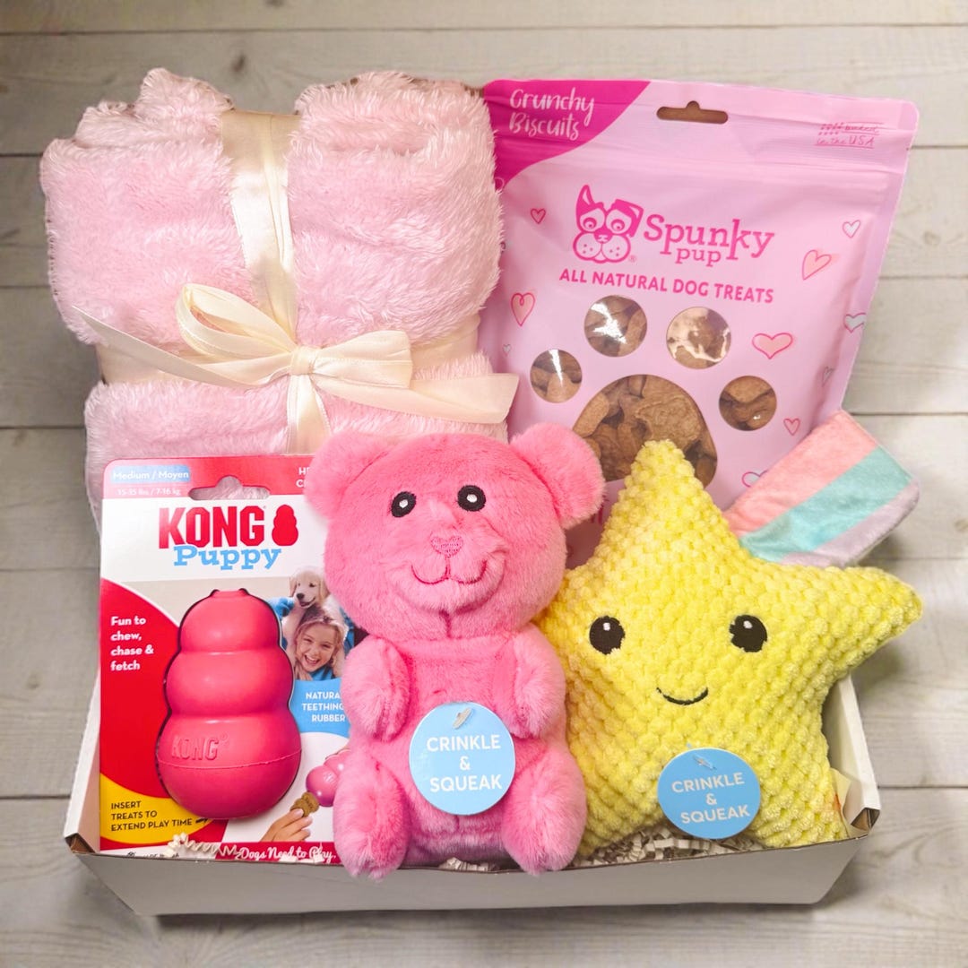Pink Puppy Gift Basket, Toys, Treats, Blanket, KONG - Etsy