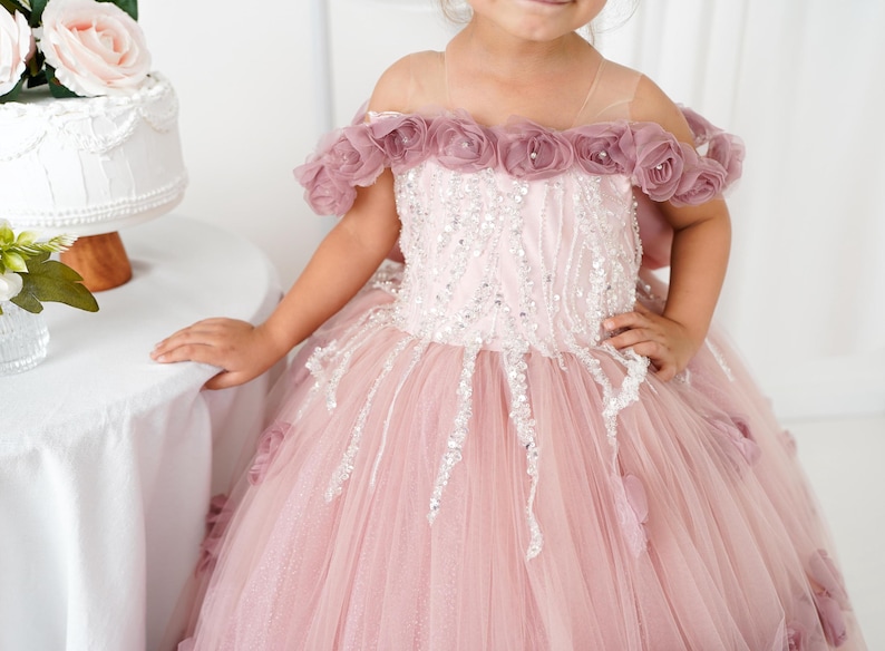 Blush Flower Girl Dress, Christmas Mini Quinceanera Gown With Flowers ...