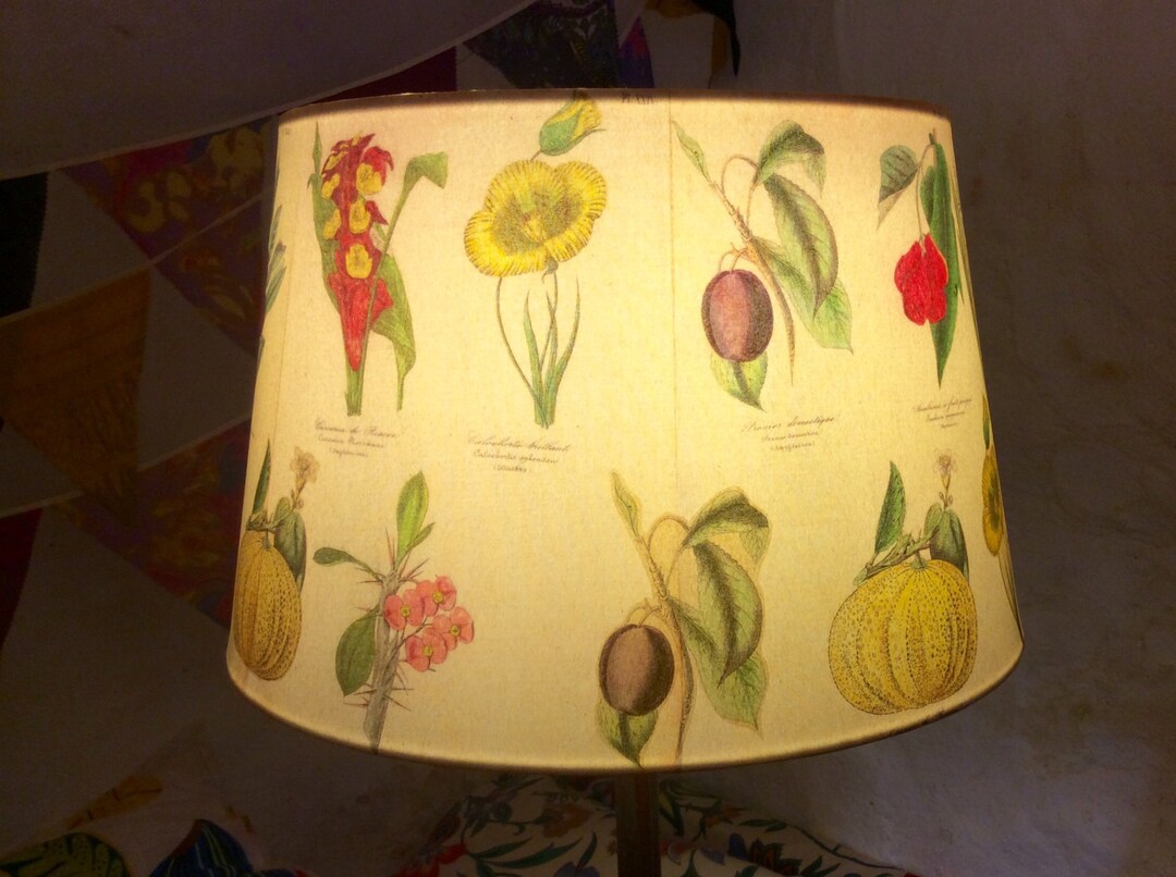 Unique Lamp Shade Inspired by Hand Coloured Botanical Etchings - Etsy