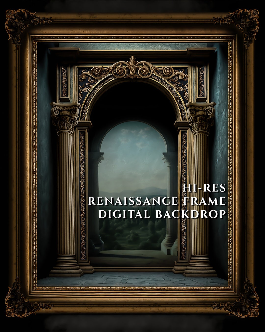 Renaissance Frame Digital Backdrop #2 | Baroque Portrait Overlays ...