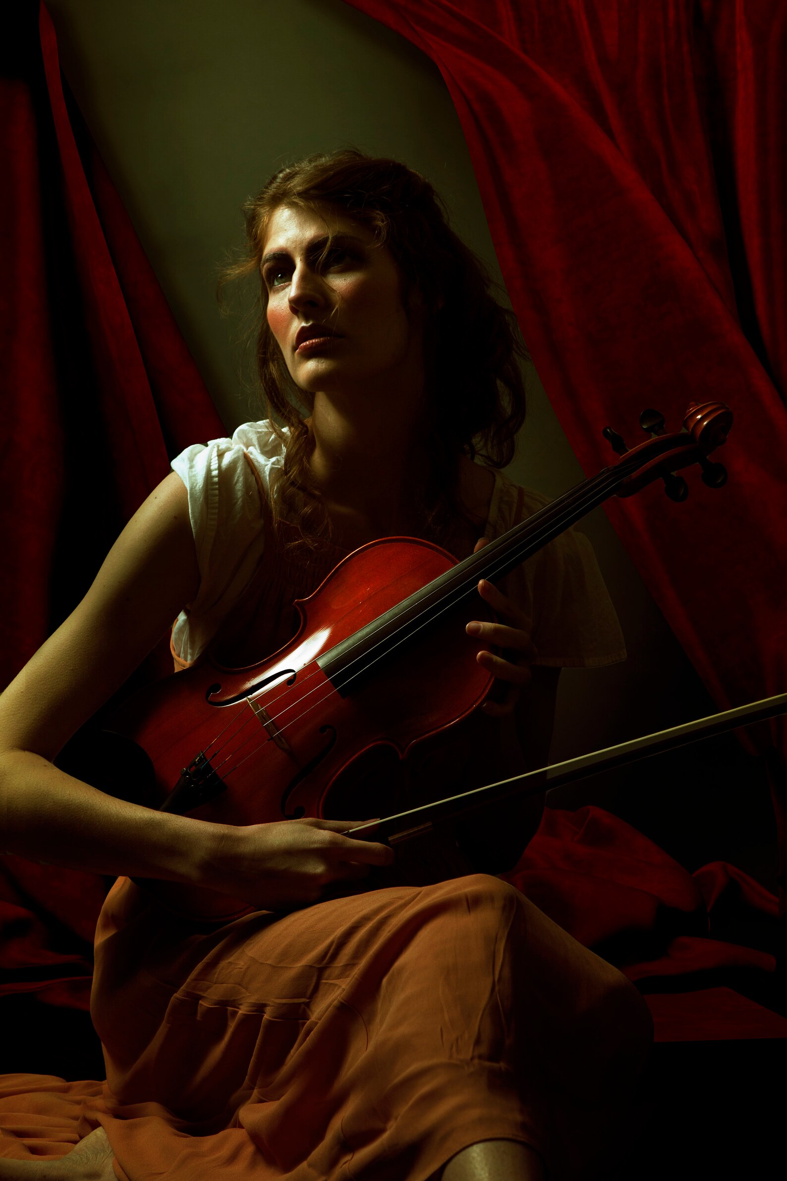 85 Baroque Draping Velvet Overlays for Fine Art Portraits, Fairytale ...