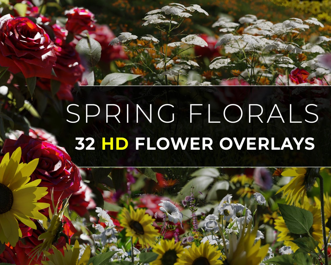 32 Flower Garden & Field Overlays | for Fine Art Portraits, Fairytale ...