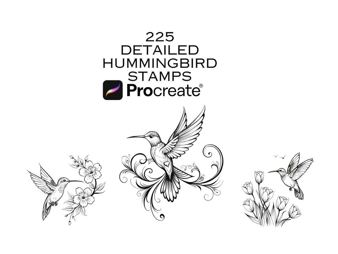 Hummingbird PNG & Cut Files Bundle | 225 PNG and DXF Designs for Cricut ...