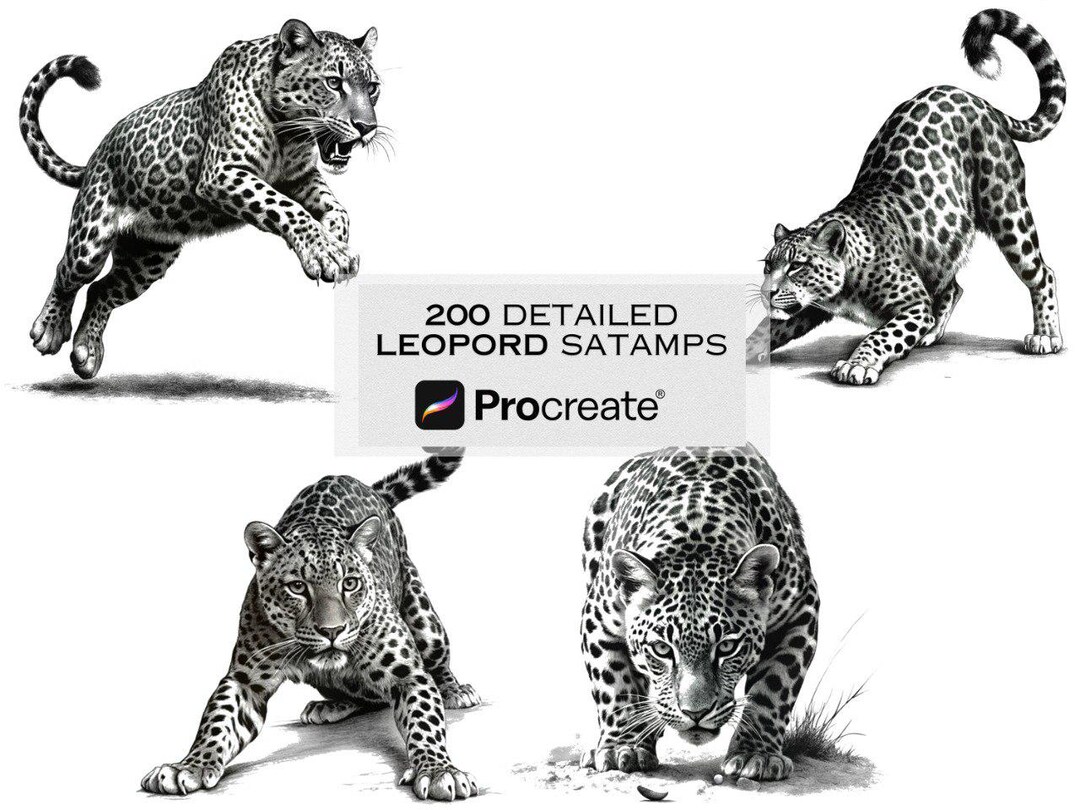 200 Leopard and Wildlife Procreate Stamp Brushes | Forest Animal Stamps ...