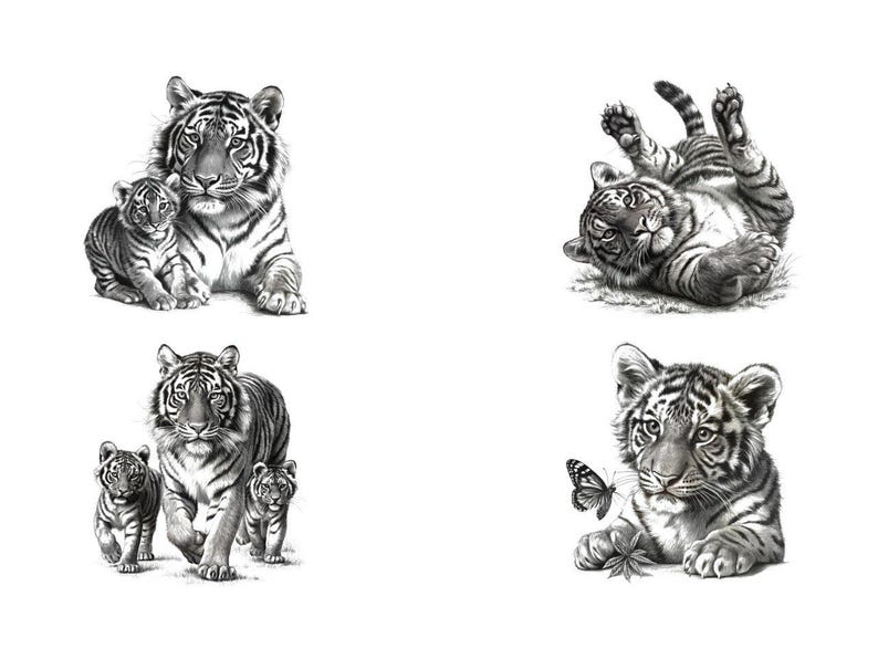 200 Tiger Procreate Stamp Brushes: Wildlife Tattoo Reference (digital ...