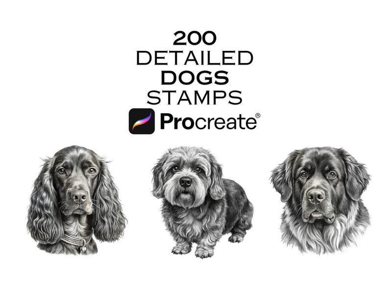 200 Dog Stamp Brushes for Procreate: Animal Drawing References (digital ...