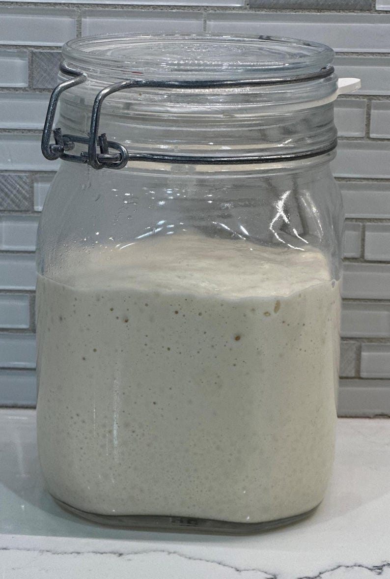 Artisan Dehydrated Sourdough Starter, Perfect for Bread Making ...