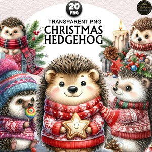 20 Watercolor Christmas Hedgehog Clipart, Baby Hedgehog Xmas Png Bundle ...