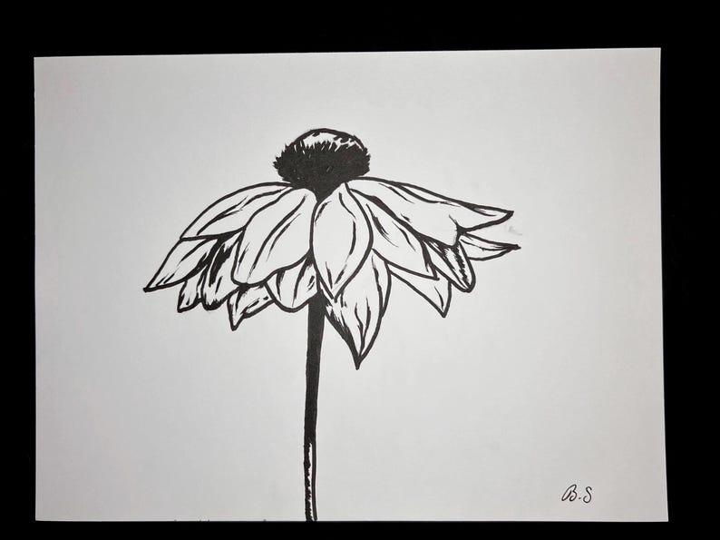 Simple Flower Pen Drawing - Etsy