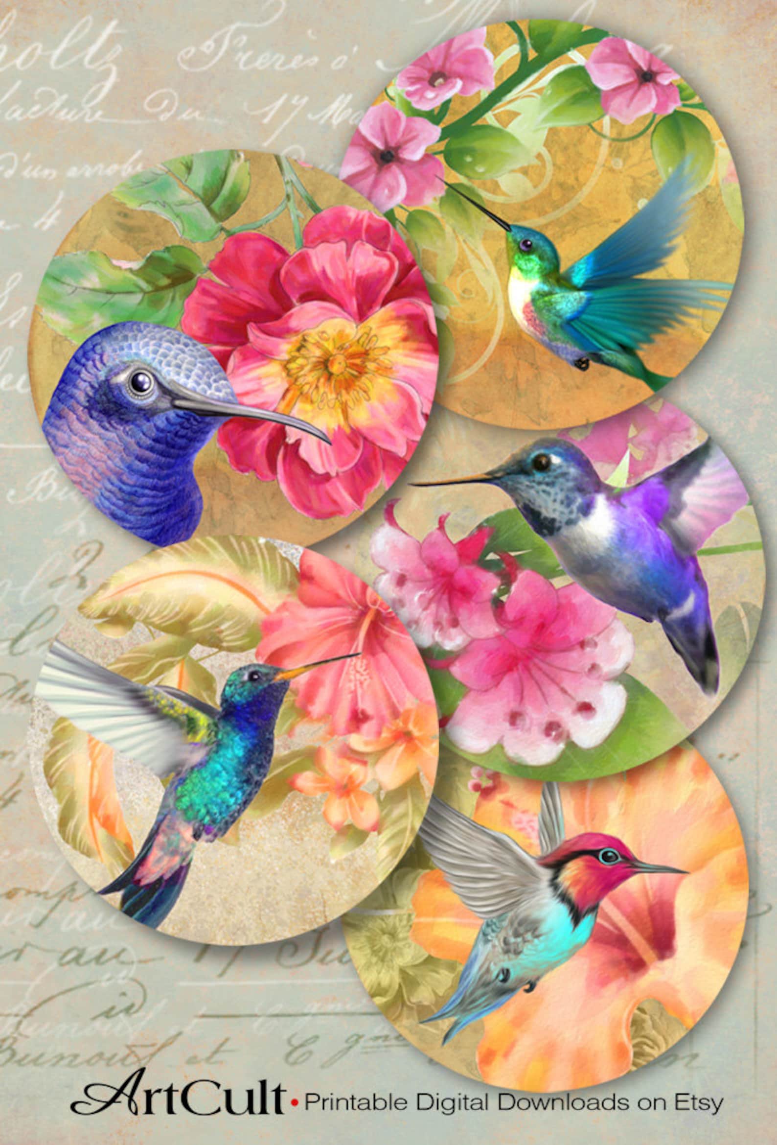 Printable Download HUMMINGBIRDS 2.5 Inch Size Images Digital - Etsy