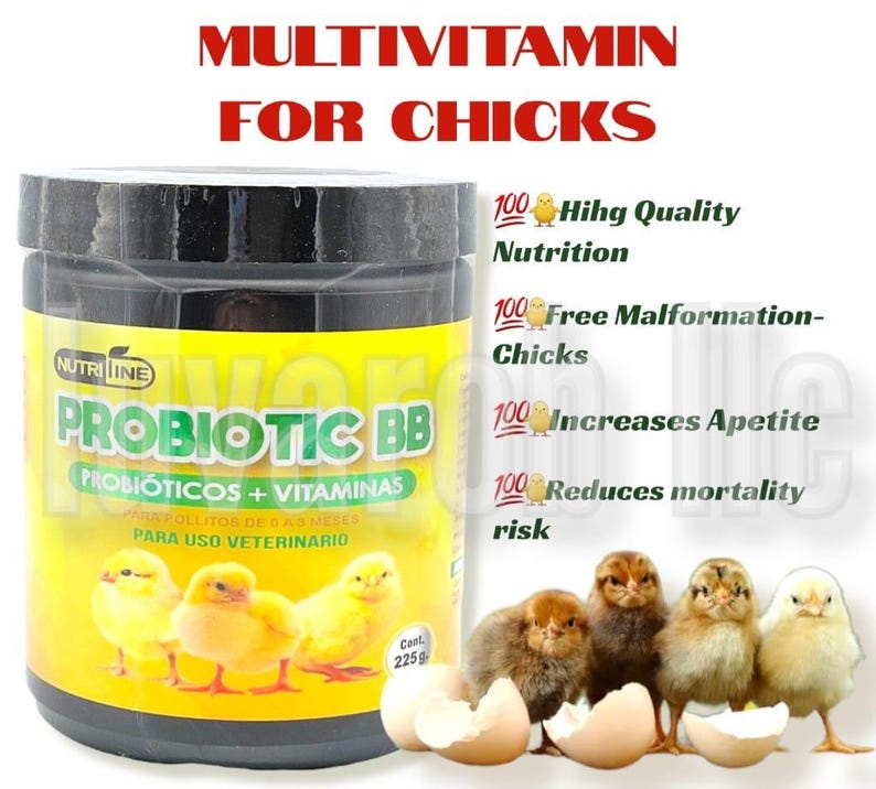 Probiotic and Multivitamin for Chicks 80gr Powder Multivitamin Enriched ...