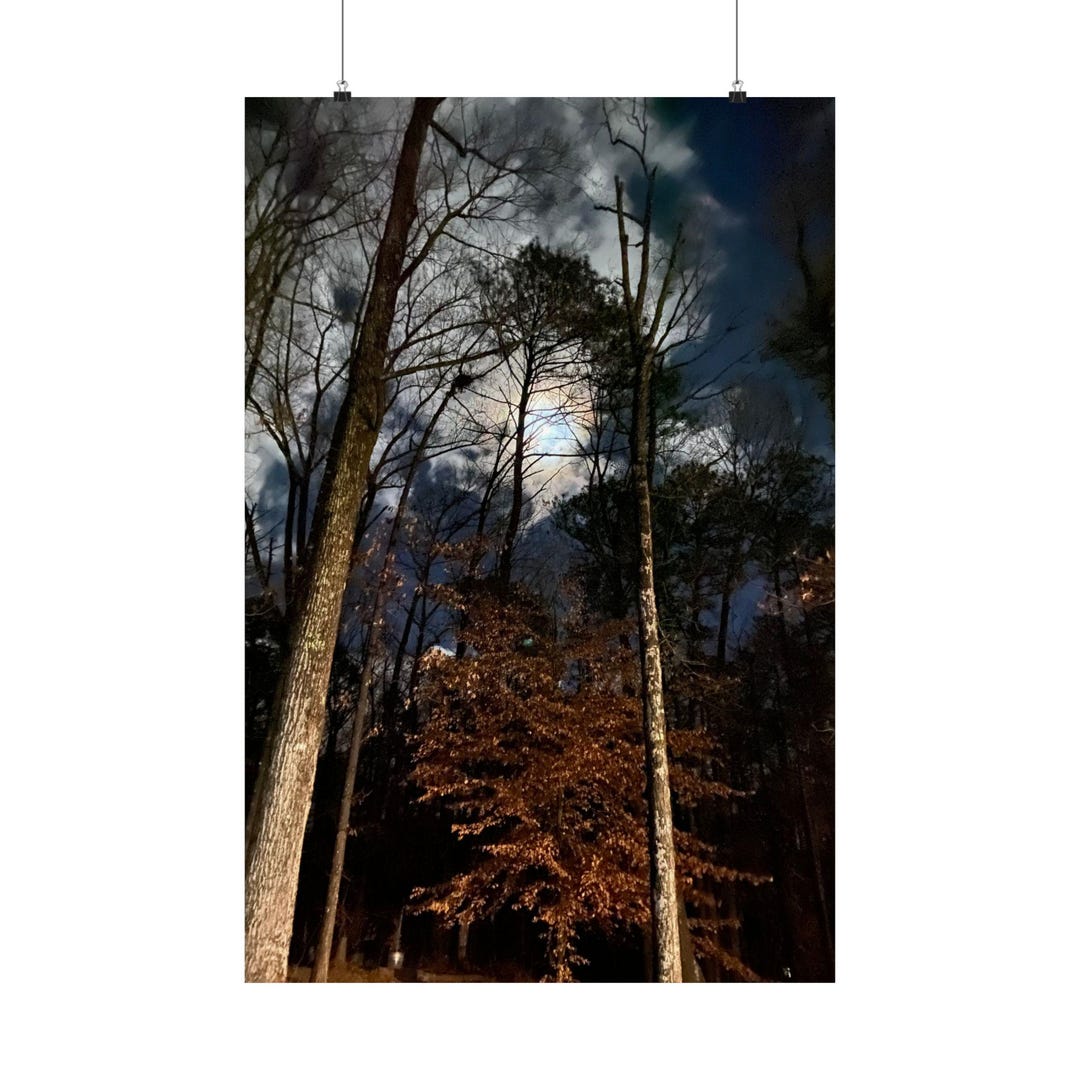 Vertical Posters, Original Fine Art Piece 'stormy Night' by Ari Lu ...