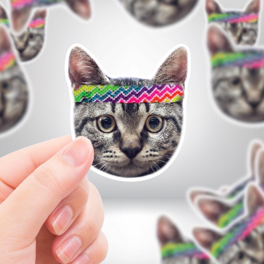 80s Cat With Headband Sticker: Retro Waterproof Vinyl Decal - Etsy
