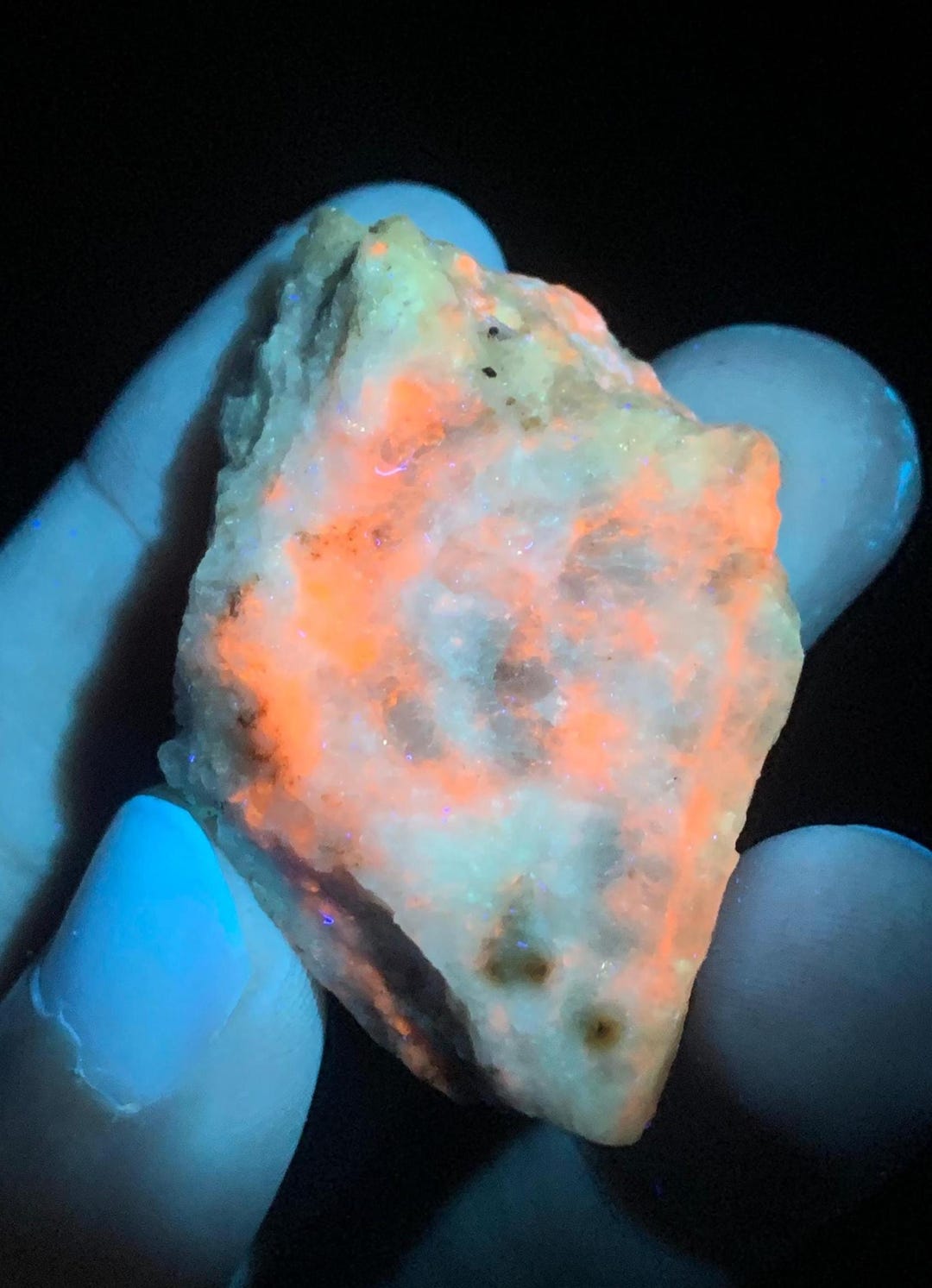 UV Reactive Hackmanite Specimen– Natural Fluorescent Crystal From ...