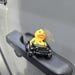 New Colors Jeep Ducks, Rubber Duck Driver in Black Jeep.. Duck Duck ...