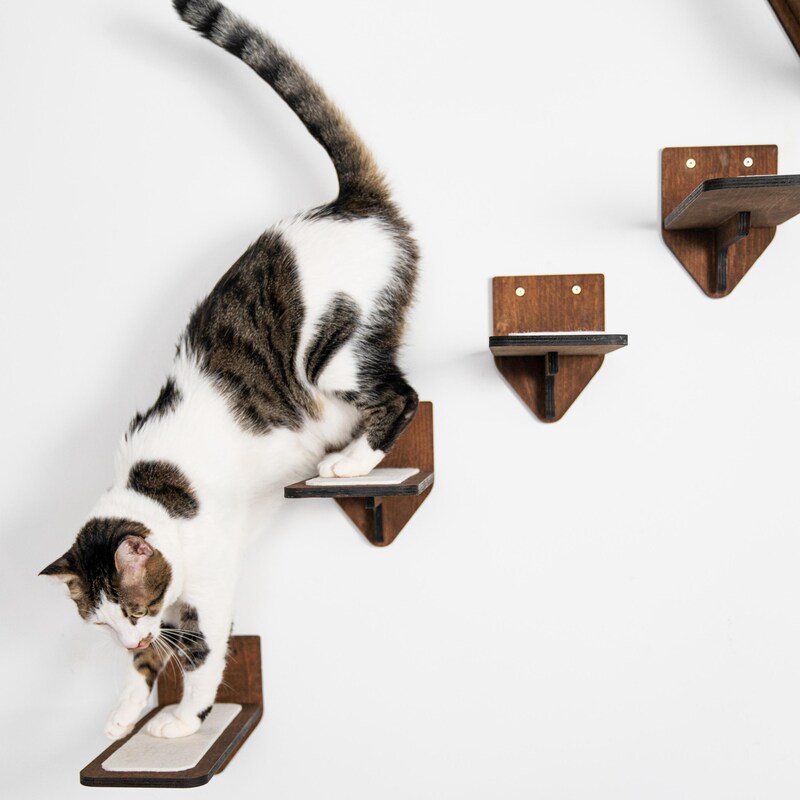Cat Walk Furniture - Etsy