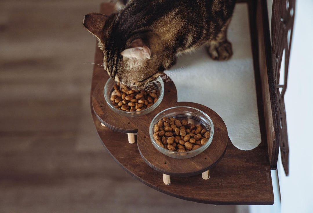 Cat Wall Feeding Station, Cat Food Shelves, Modern Cat Wall Furniture ...