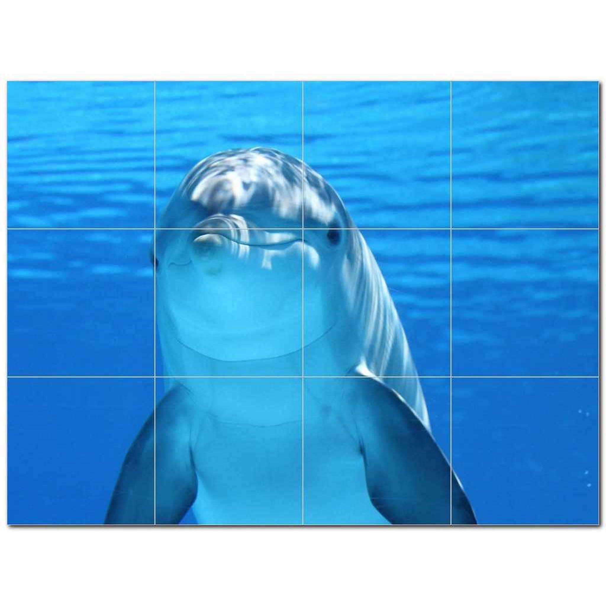 Top 10 Dolphin Photo Ceramic Tile Mural Kitchen Backsplash Bathroom ...