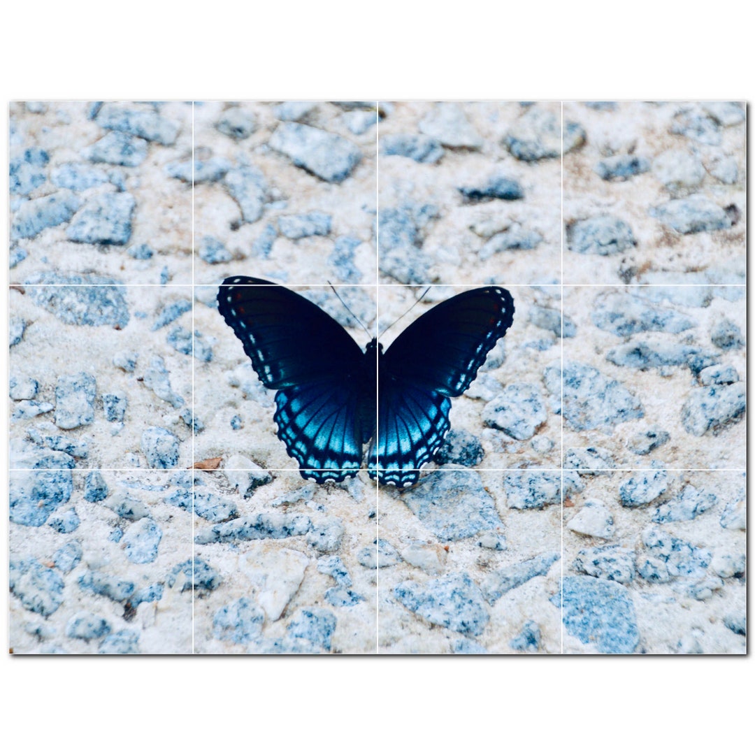 Top 10 Butterfly Photo Ceramic Tile Mural Kitchen Backsplash Bathroom ...