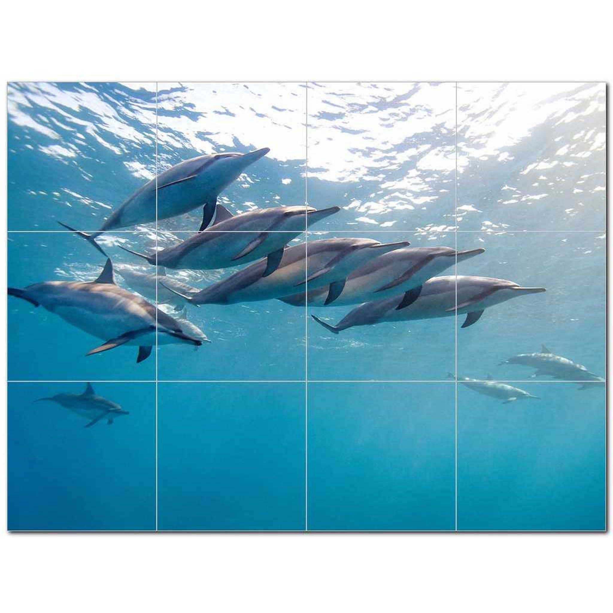 Top 10 Dolphin Photo Ceramic Tile Mural Kitchen Backsplash Bathroom ...