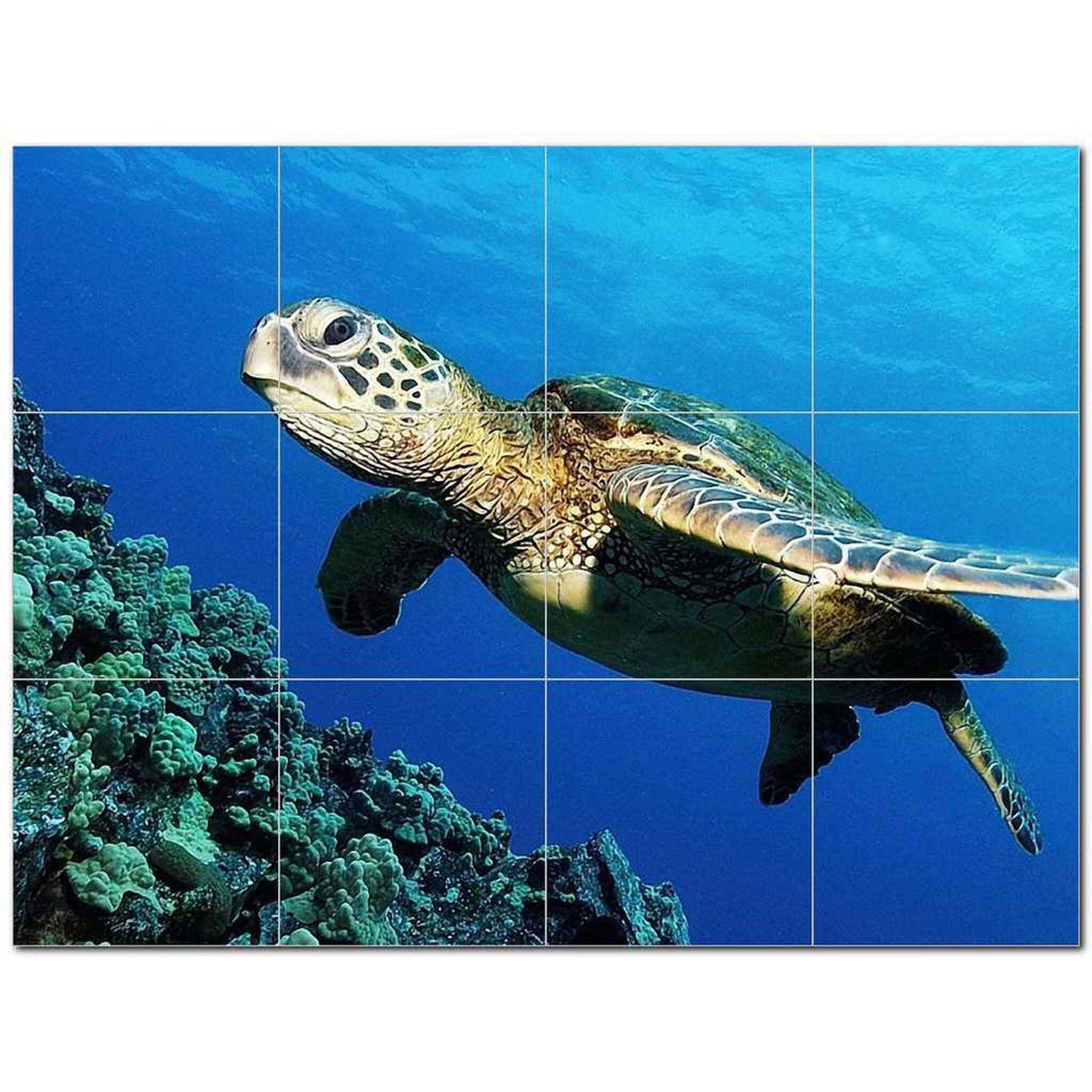 Turtle Photo Ceramic Tile Mural: Kitchen Backsplash, Shower - Etsy