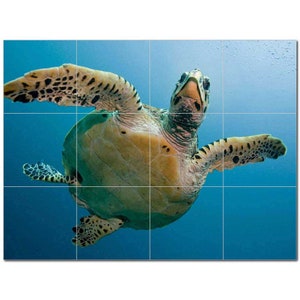 Top 10 Turtle Photo Ceramic Tile Mural Kitchen Backsplash Bathroom ...