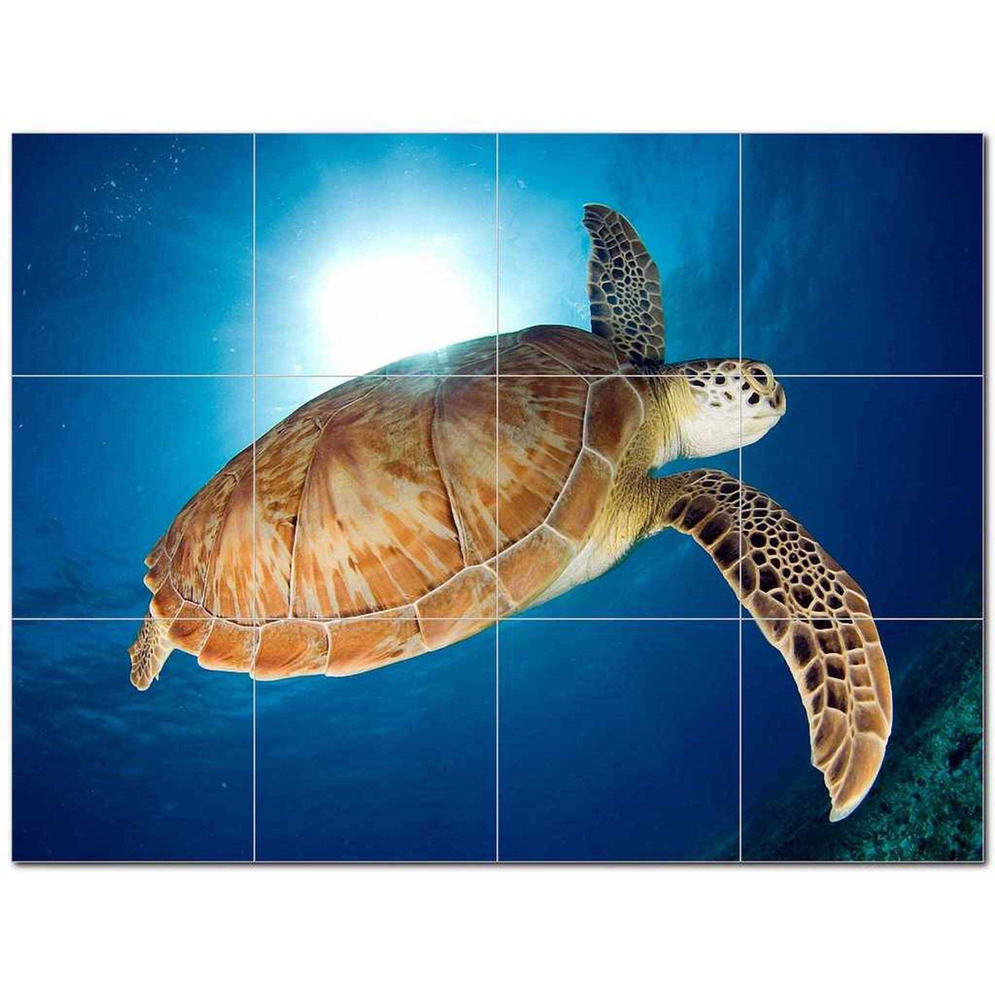 Turtle Photo Ceramic Tile Mural: Kitchen Backsplash, Shower - Etsy