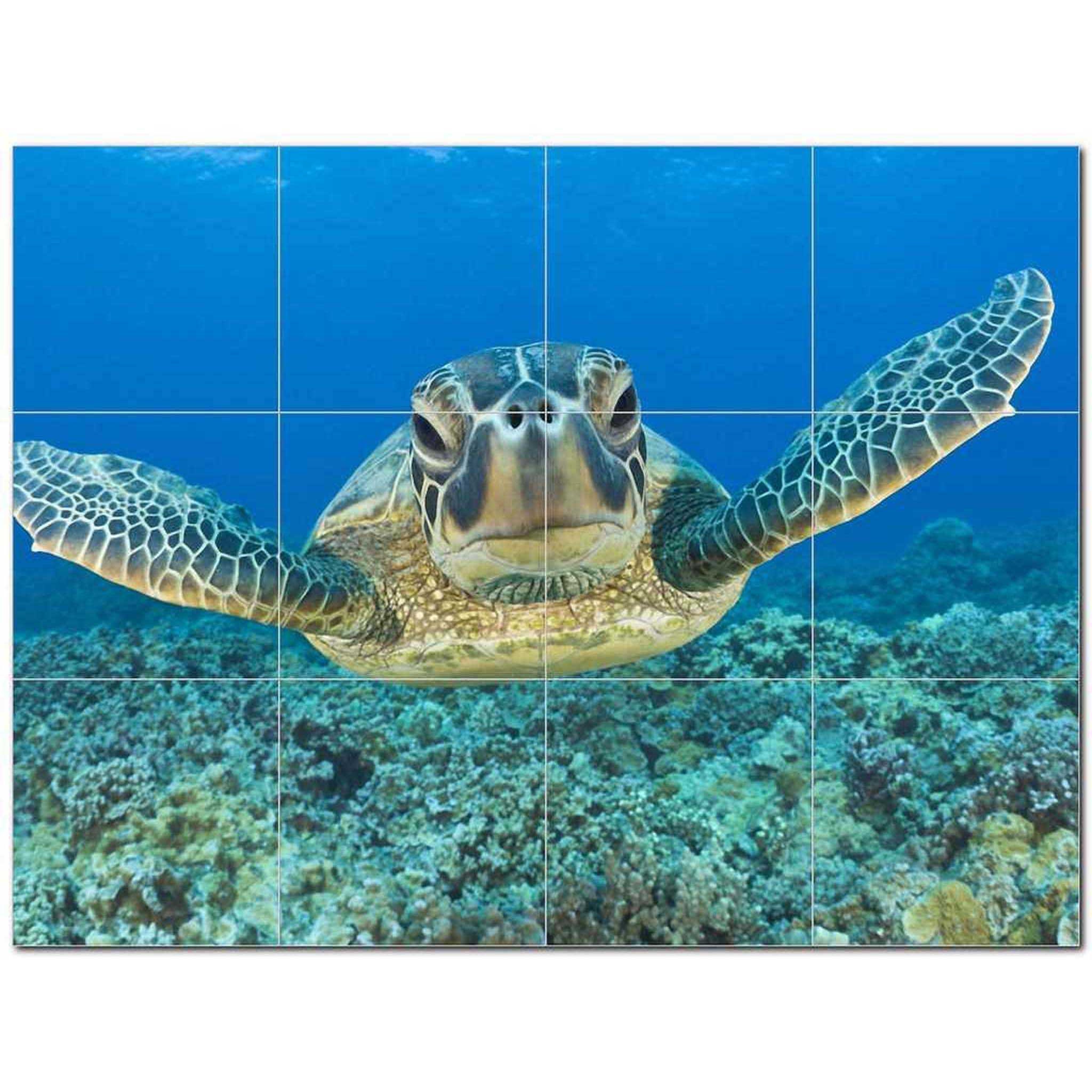 Turtle Photo Ceramic Tile Mural: Kitchen Backsplash, Shower - Etsy
