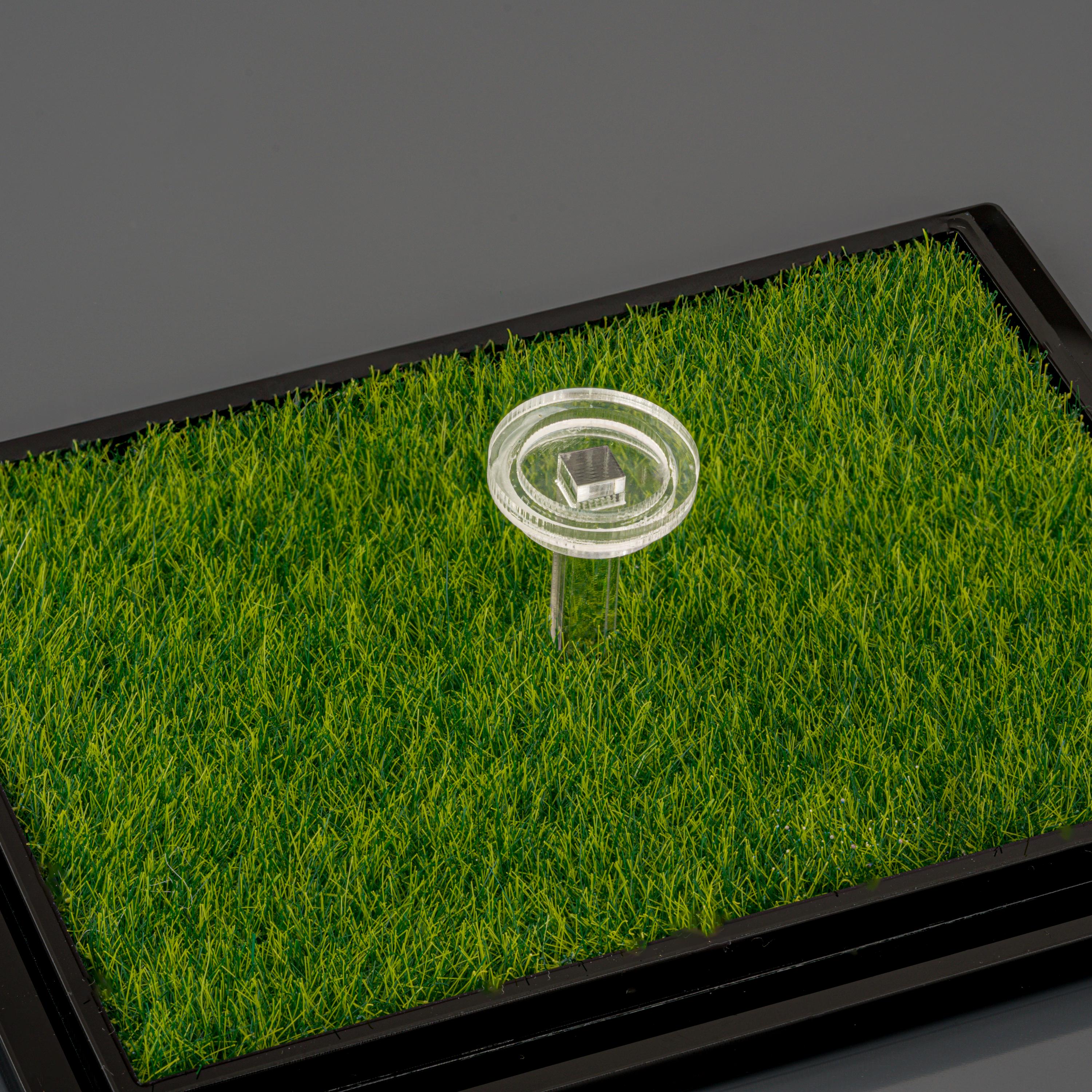 Customisable Tennis Ball Display Case – Turf or Solid Wood Base ...