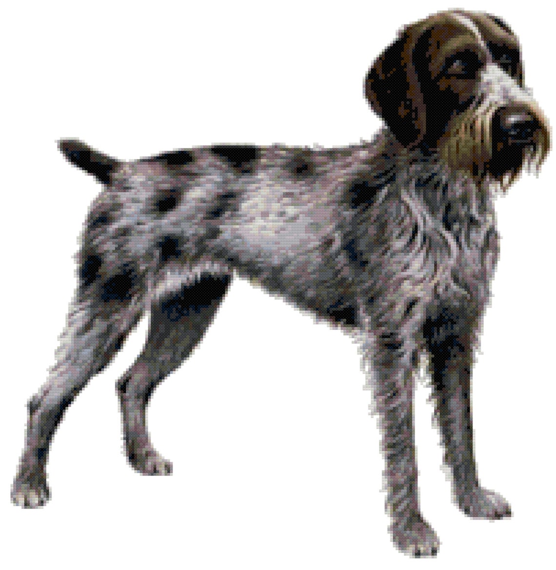 German Wirehaired Pointer Dog Counted Cross Stitch Pattern - Etsy