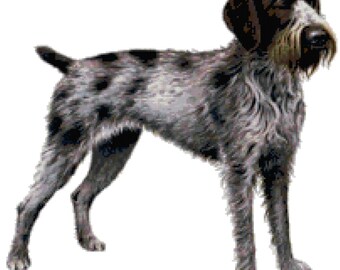 Wirehaired Vizsla Wirehaired Hungarian Pointer CROSS STITCH Pattern ...
