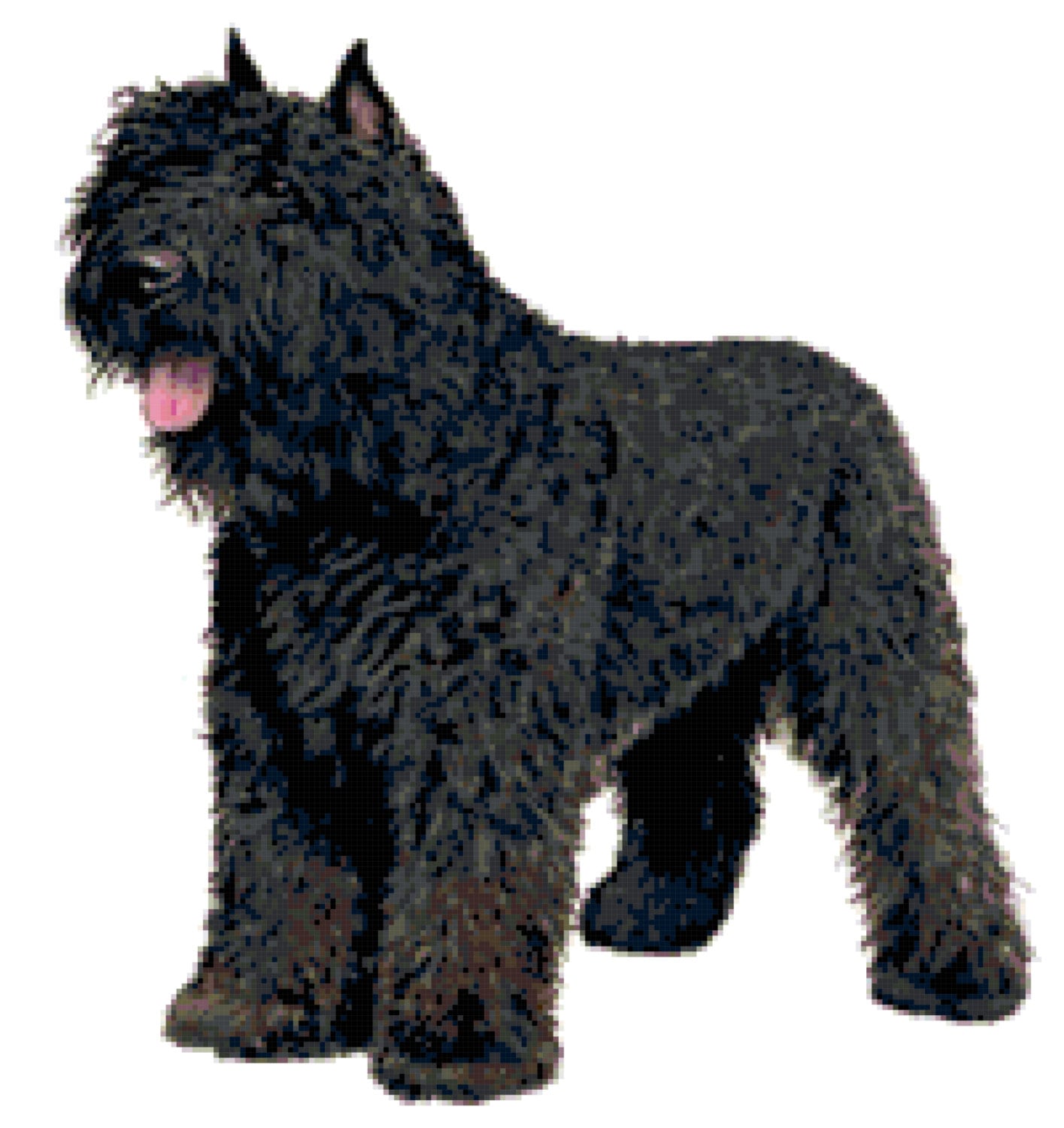 Bouvier Dog