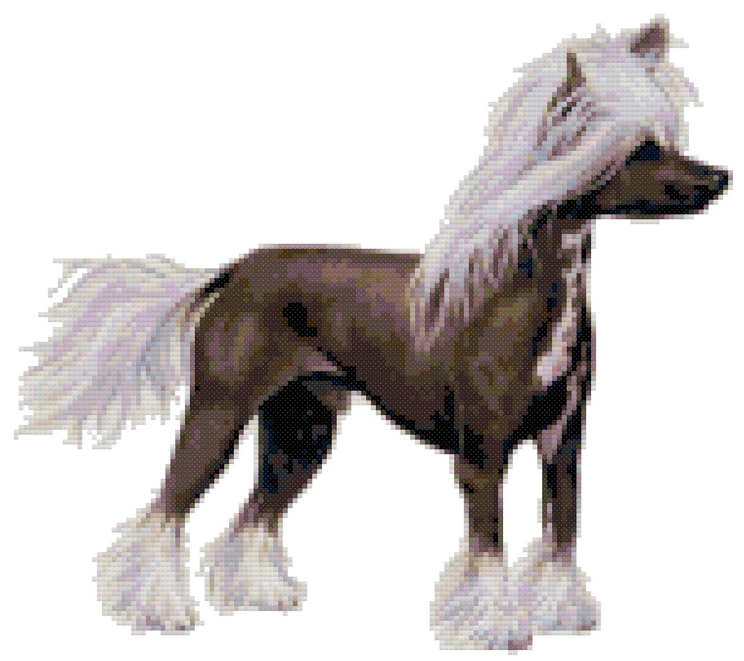 Chinese Crested Dog Counted Cross Stitch Pattern - Etsy