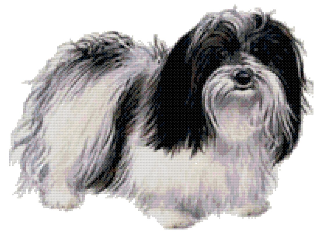 Havanese Dog Counted Cross Stitch Pattern - Etsy