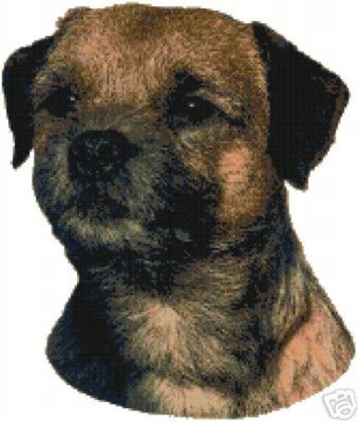 Border Terrier Dog Portrait Counted Cross Stitch Pattern - Etsy