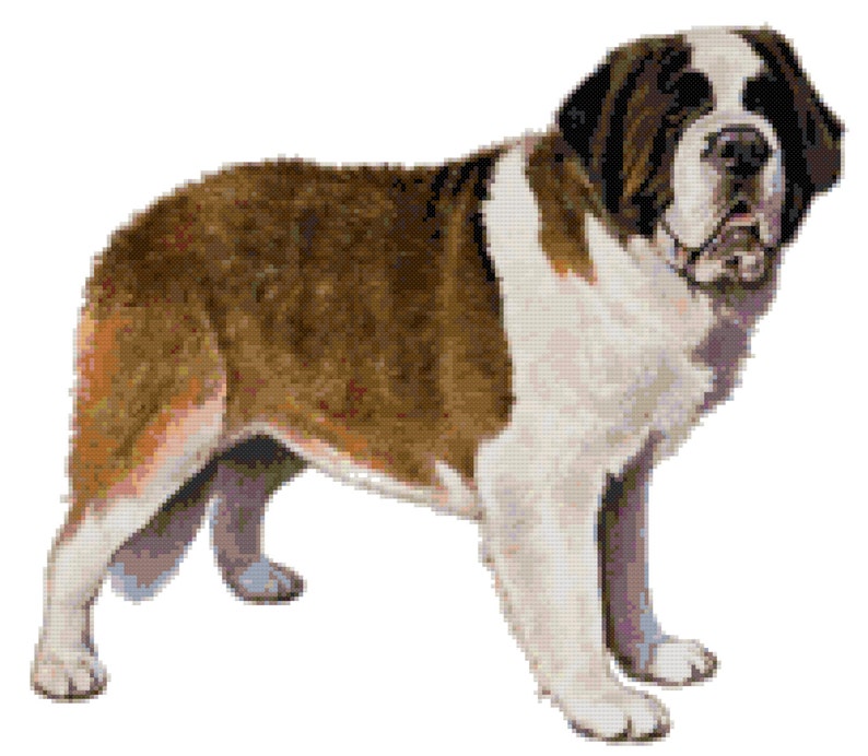 Saint Bernard Dog Counted Cross Stitch Pattern - Etsy